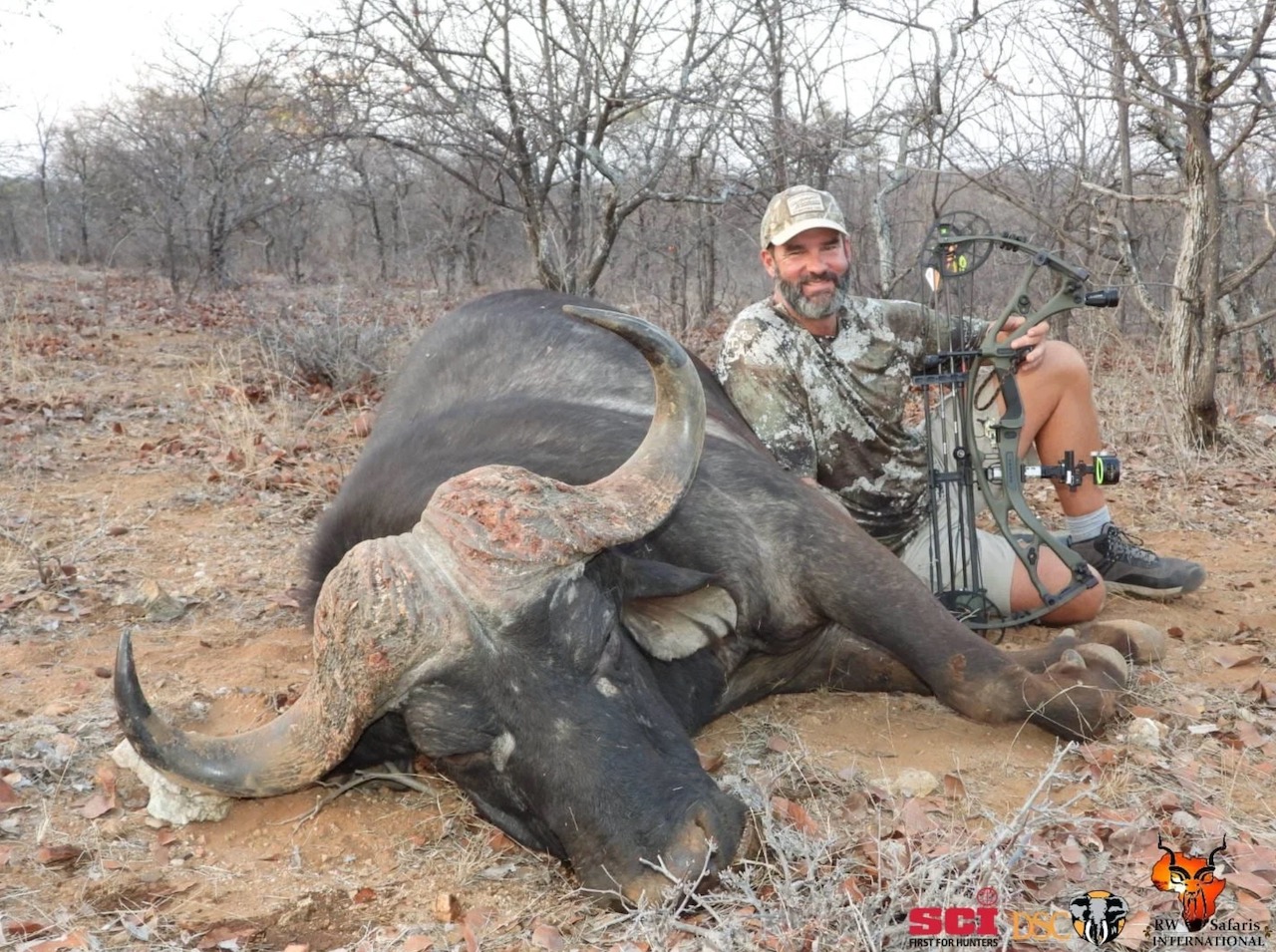 Baboon - Book an Endorsed Hunt